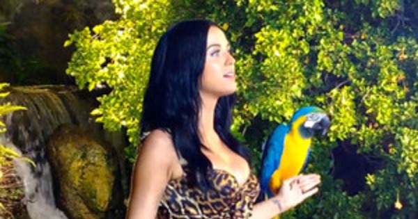 Go Behind The Scenes Of Katy Perrys Roar Music Video E News